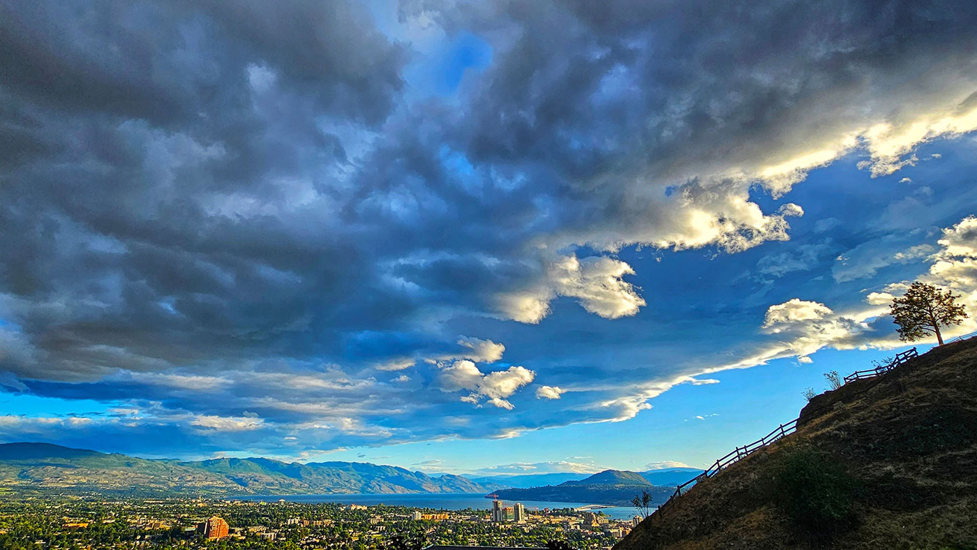 SSRIs, Psilocybin, and the New Frontier of Safe Psychedelic Guided Retreats | The Journeymen ...